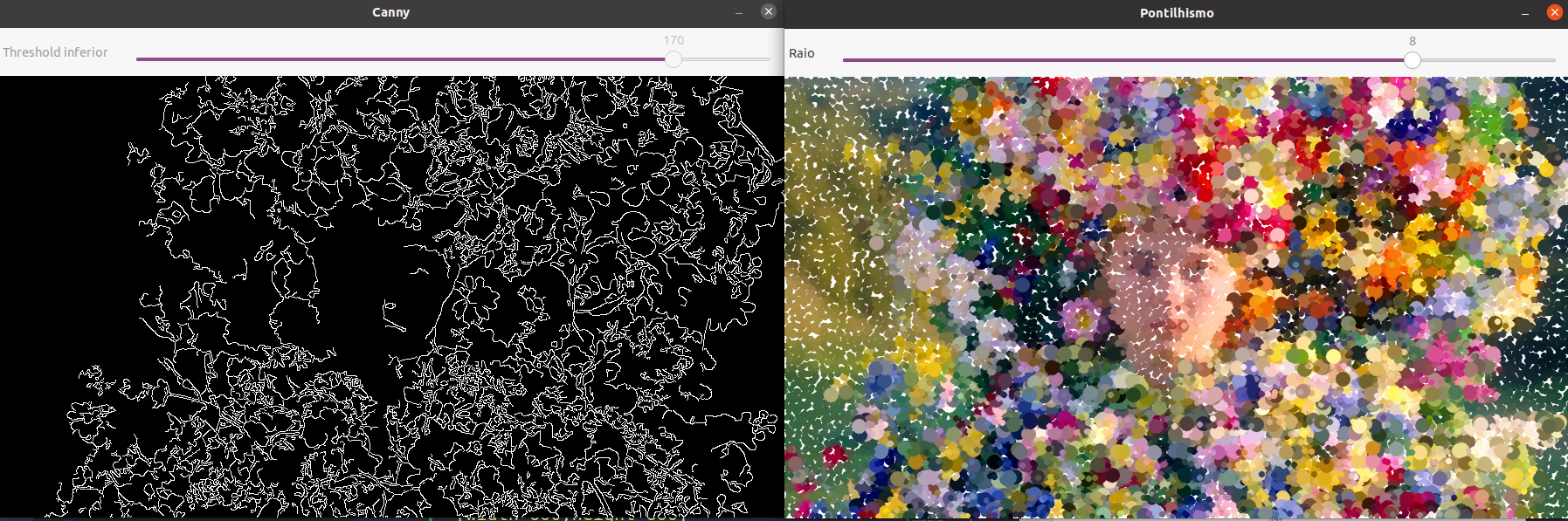 Processamento Digital de Imagens